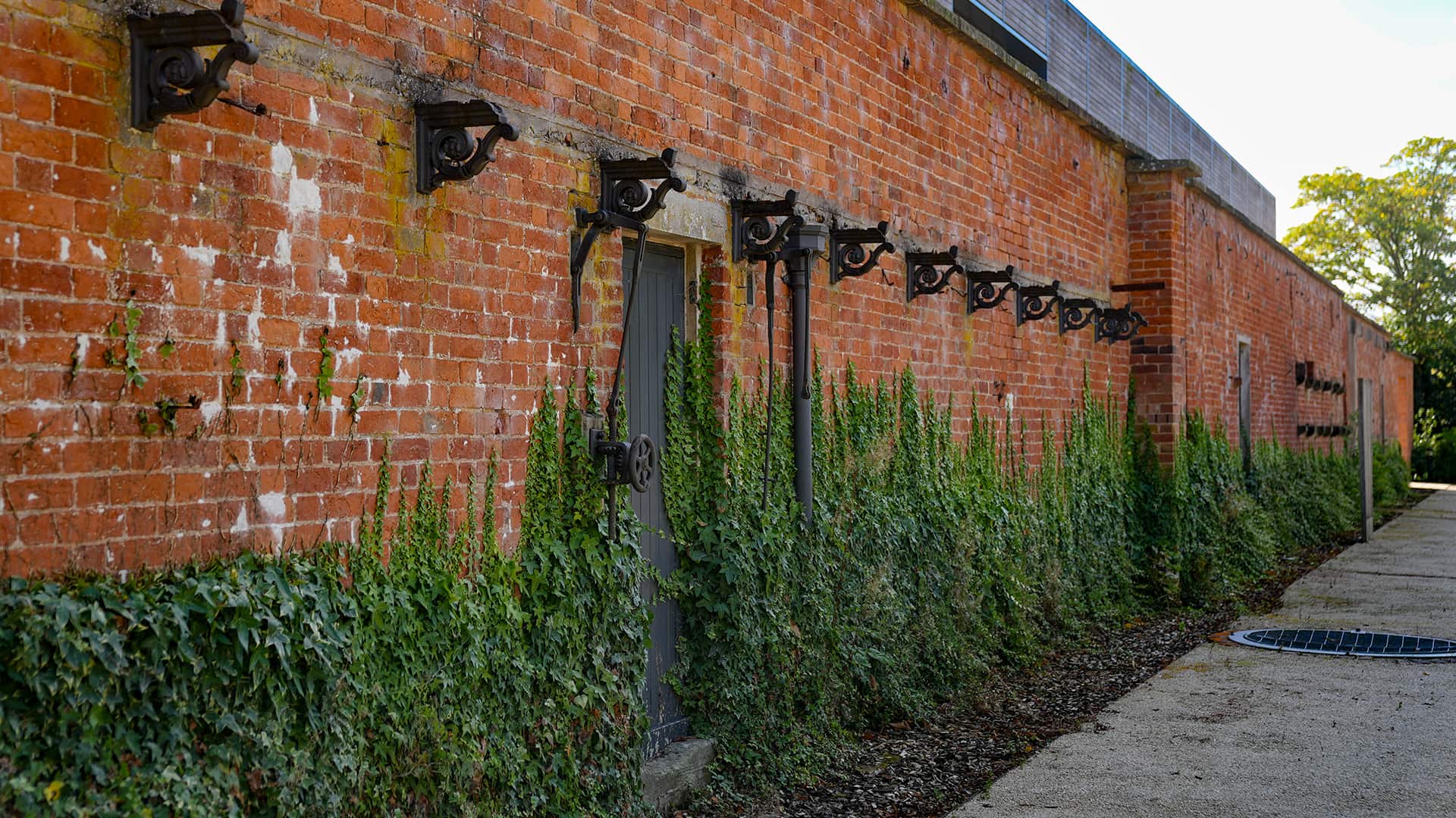 Insights - Bell Taylor